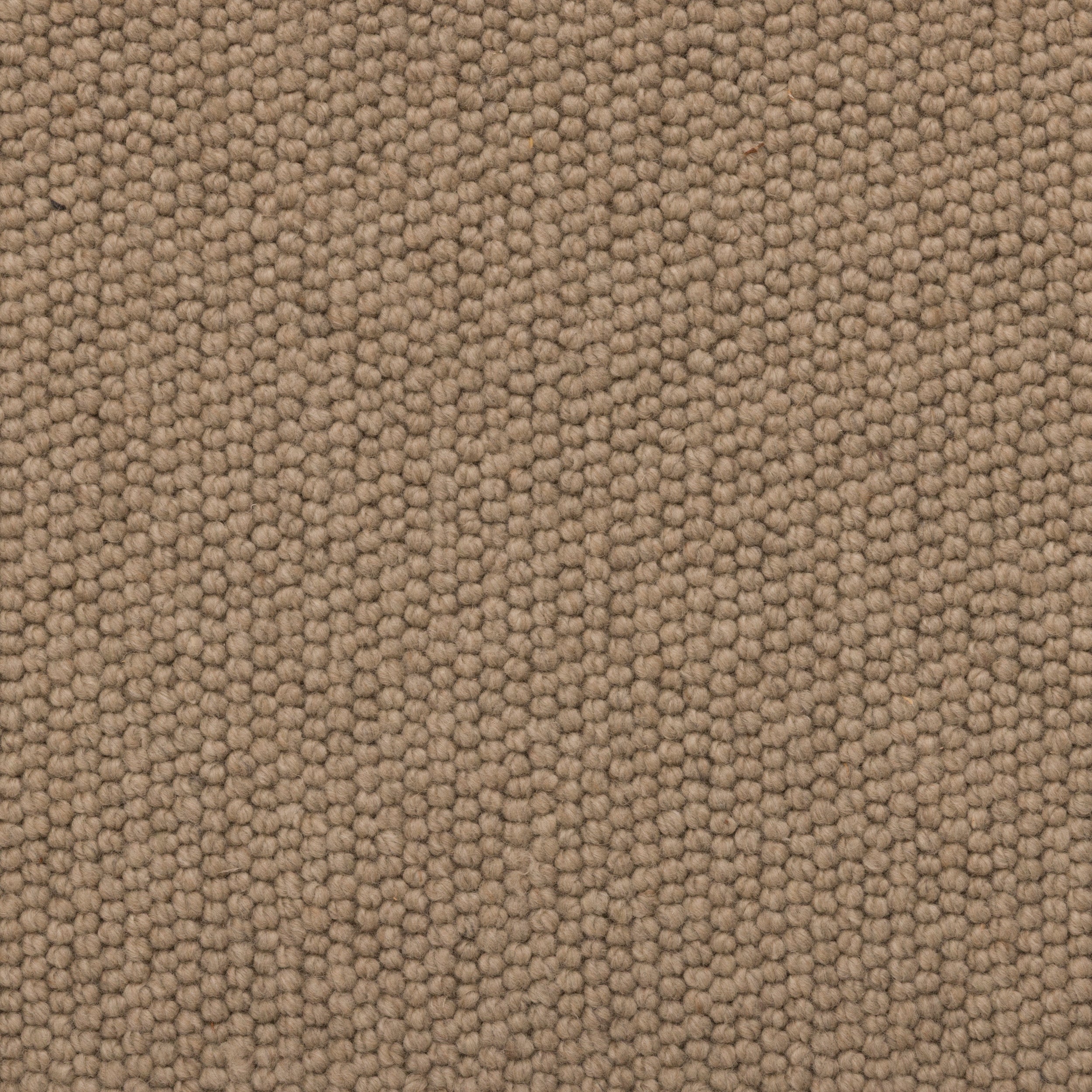 Samurai Wool Carpet: Elegance Meets Durability - Bremworth AU
